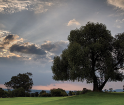 Country Club Johannesburg